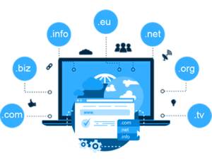 Website Development Company in Dubai | Microsysnet